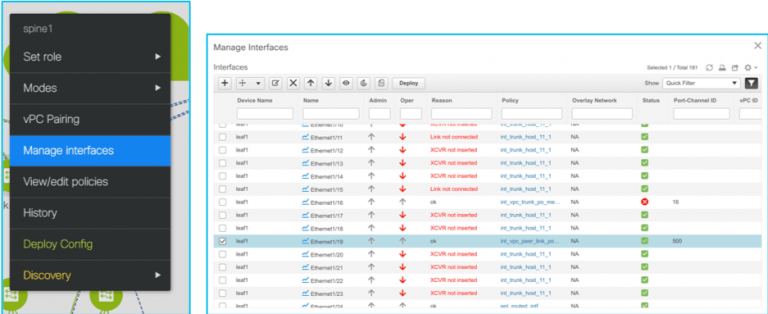 Manage Interfaces in a Centralized Way with DCNM 11 - VeeMost Technologies